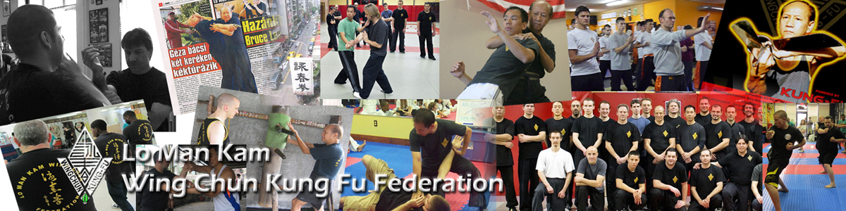 LMK Wing Chun Kung Fu | Lo Man Kam Wing Chun - official website