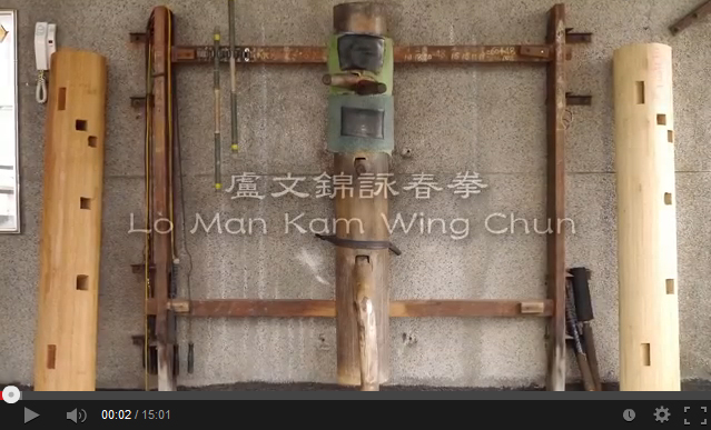 Lo Man Kam Wing Chun Recalling Movie – in honor of Sifu Lo Man Kam’s ...